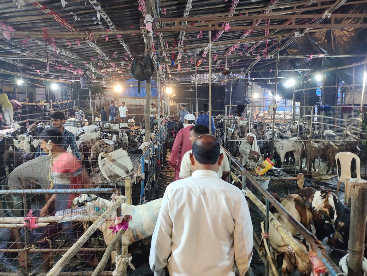 Mumbai: Deonar slaughter house shut, makeshift cattle market gaining ...